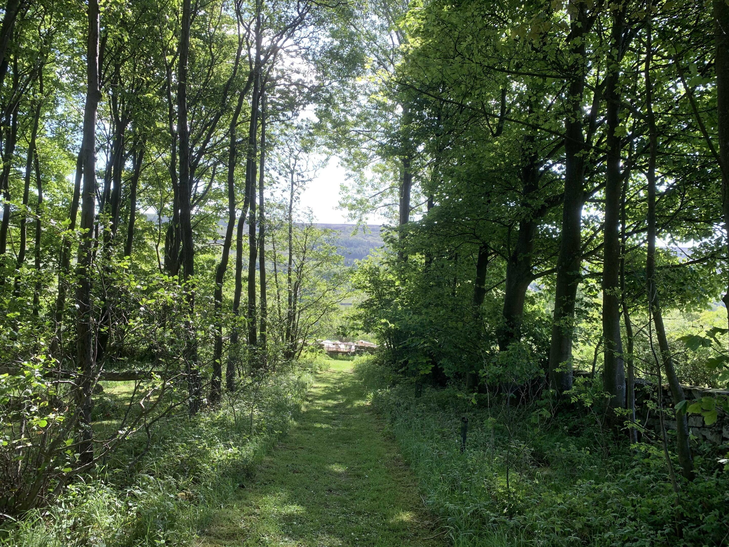 Pear Tree Farms - Peartree Projects